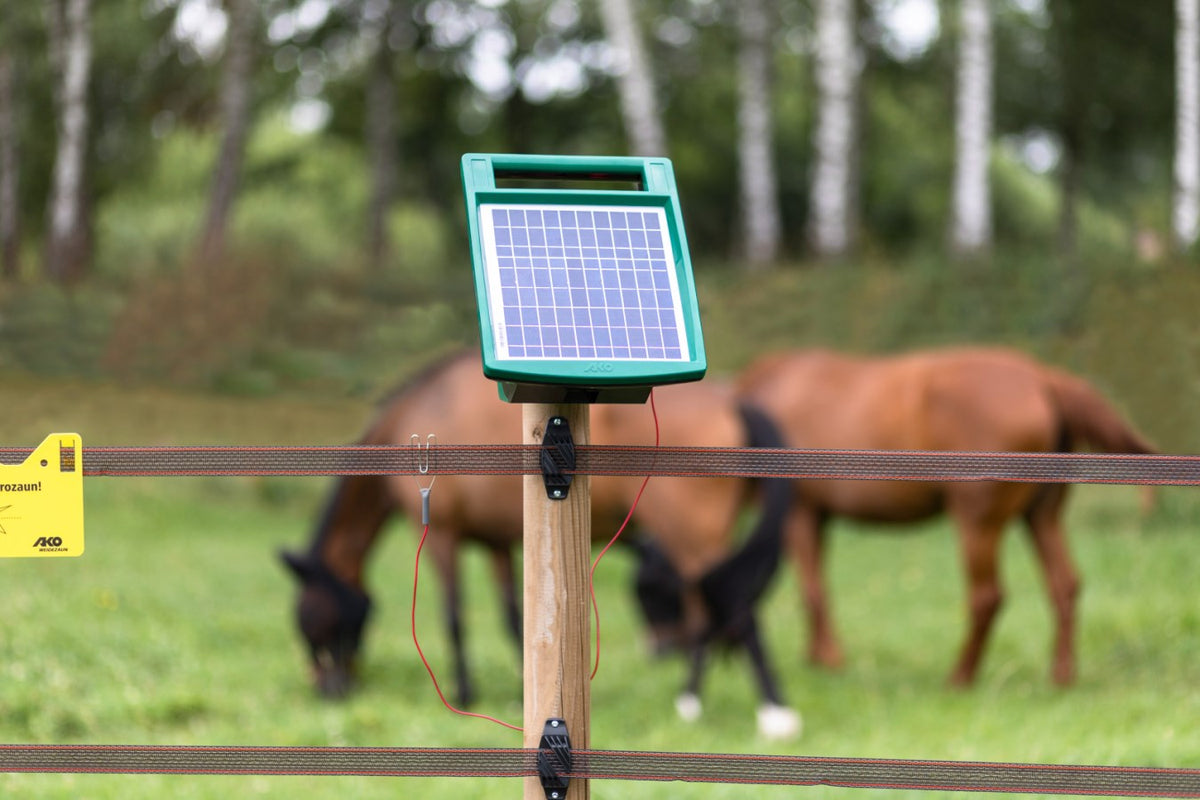 How to safely install electric fencing for horses – Styx Solutions NZ