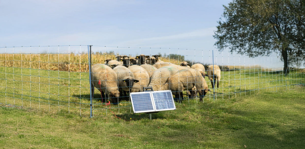 Electric Fence Energisers – Styx Solutions NZ