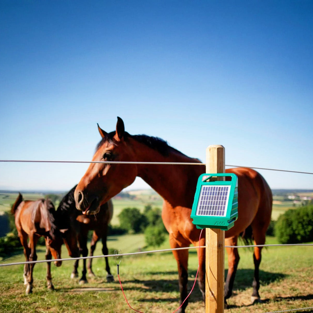 Equine Fencing – Styx Solutions NZ